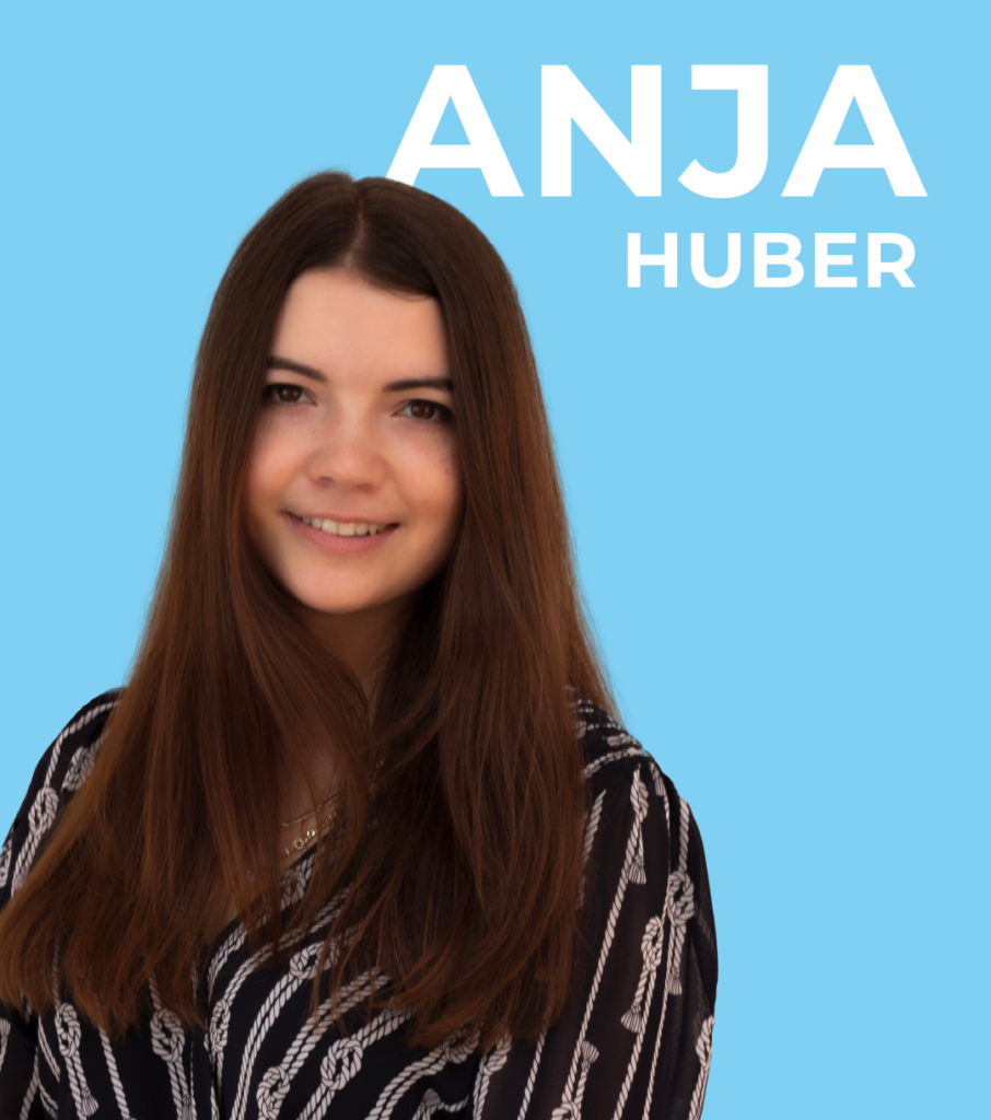 about leafsystems - leafsystems