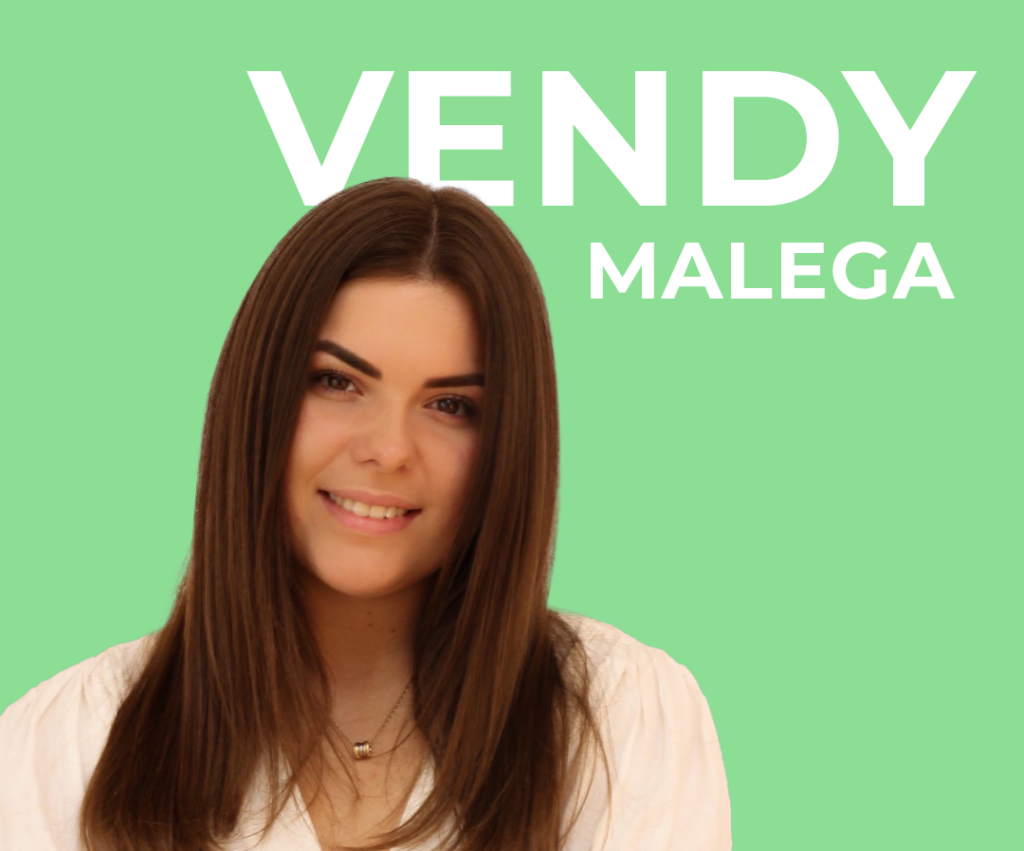 über leafsystems - leafsystems